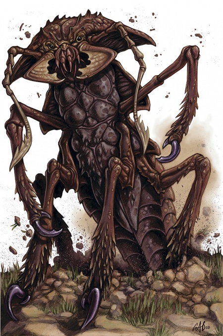 Chitin armor - Forgotten Realms Semantic Wiki
